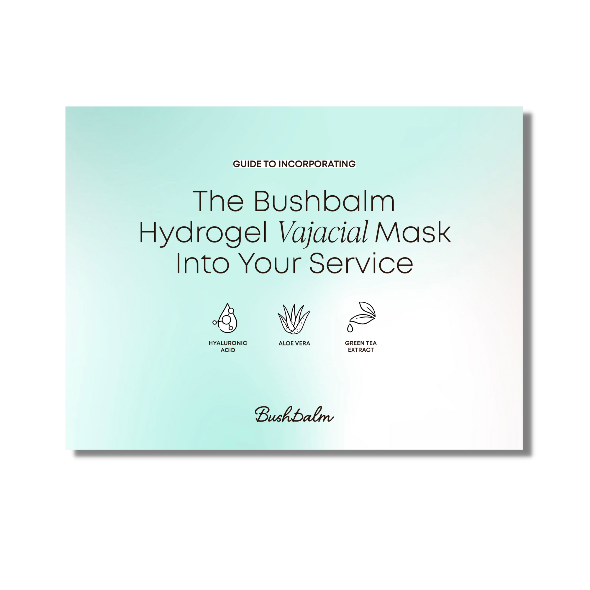 Waxing Education Wholesale Videos – Bushbalm Professional